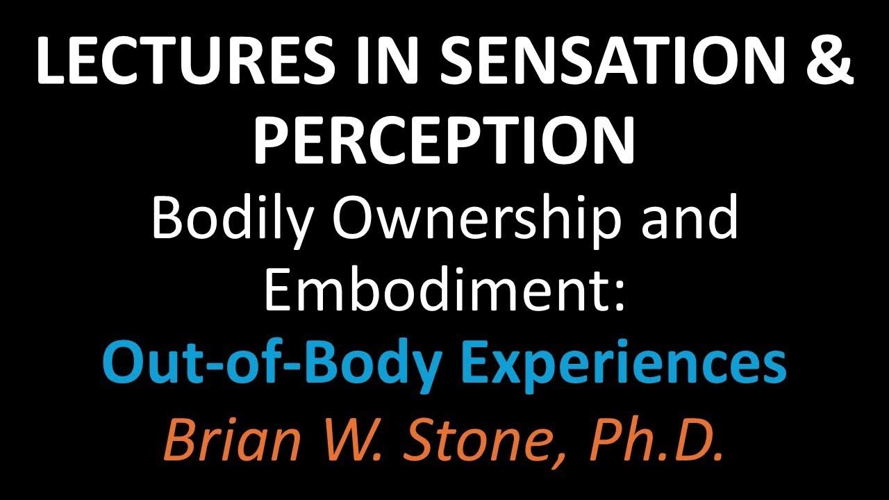 Sensation And Perception Bodily Ownership And Embodiment Pt 4 Out