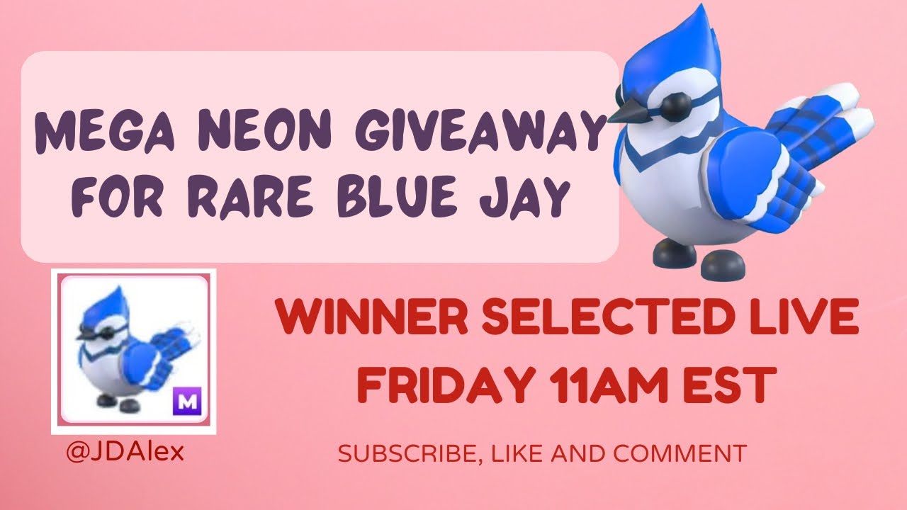 Giveaway for MEGA NEON Rare Blue Jay in adopt me Roblox. 20th mega ...
