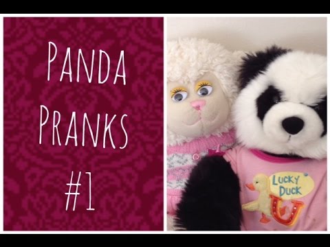 #423: Panda Pranks #1 - LambCam - YouTube