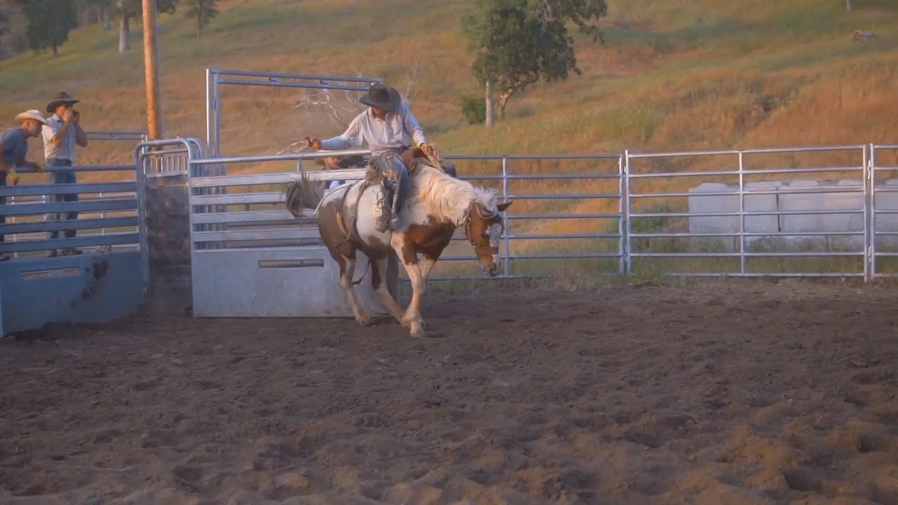 Slow Motion Bronc Rides - Cody Angland on Maleficent - YouTube