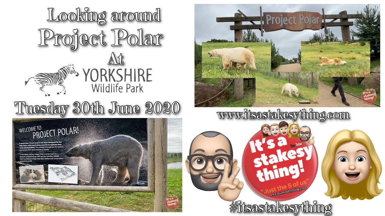 Polar Project | Yorkshire Wildlife Park | Polar Bears | Only ones in ...