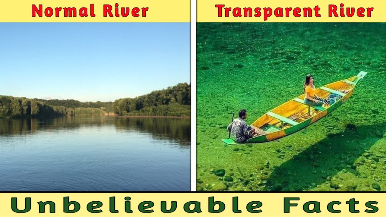 Top 15 Random Facts || Amazing Facts || Unknown facts || Unique Facts ...