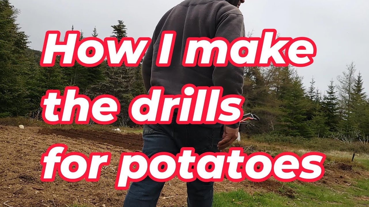 A Quick Video on How I use my tiller and homemade attachment to make ...