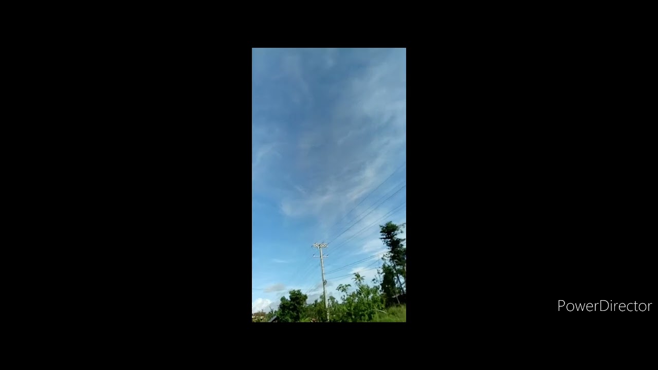 Tree Planting for educational purpose only,NSTP/CWTS - YouTube