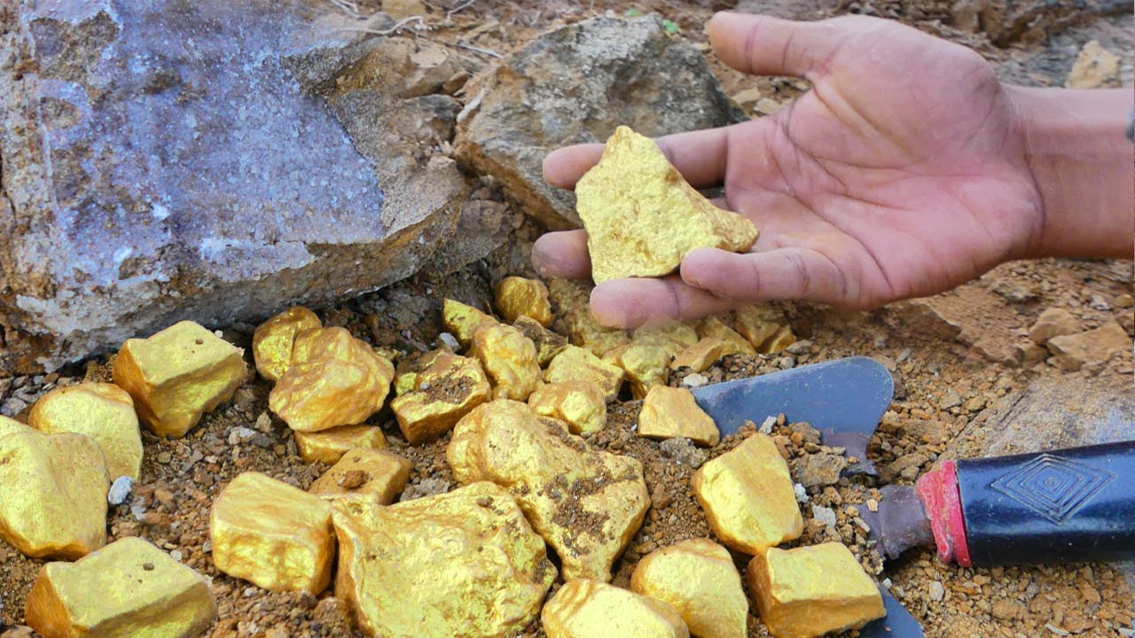 Treasure Hunting! Digging for Treasure worth millions dollar from Huge ...