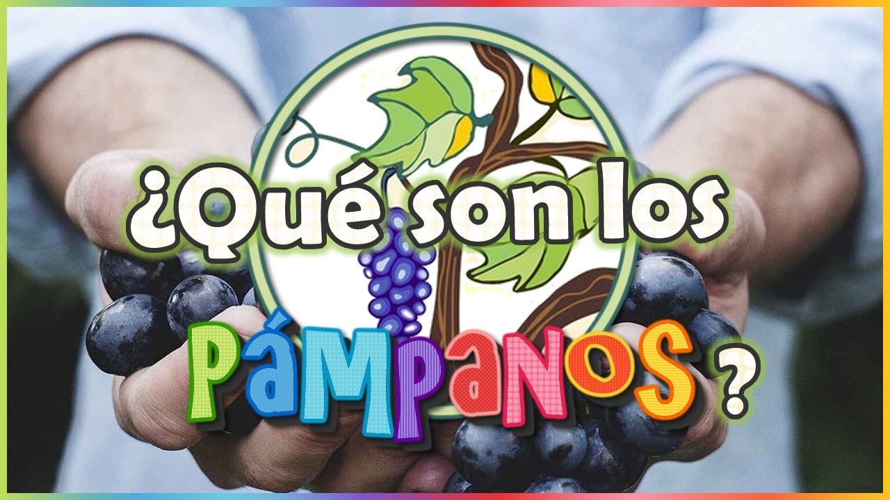 TEMA 1 - Qué son los PÁMPANOS - YouTube