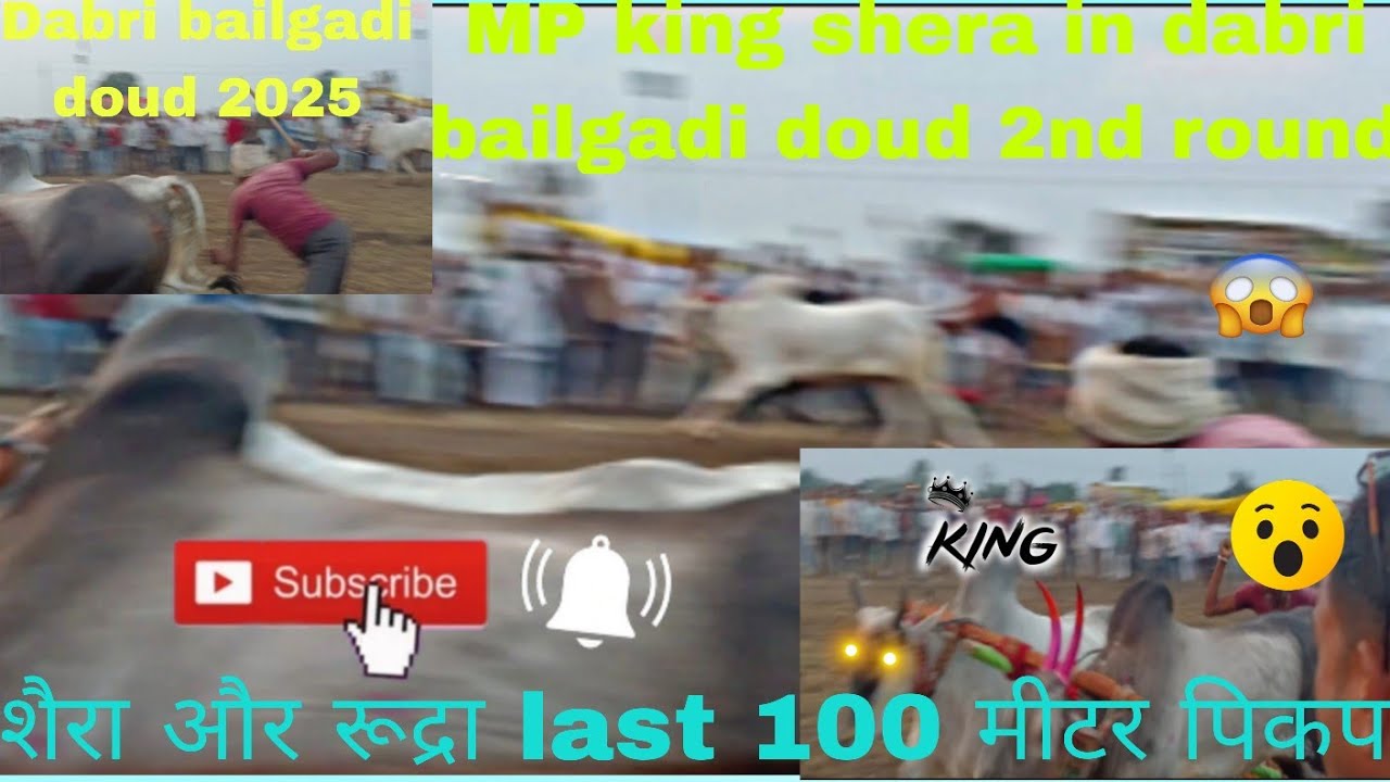 MP king shera in dabri bailgadi doud pat 2nd round video | शैरा और ...