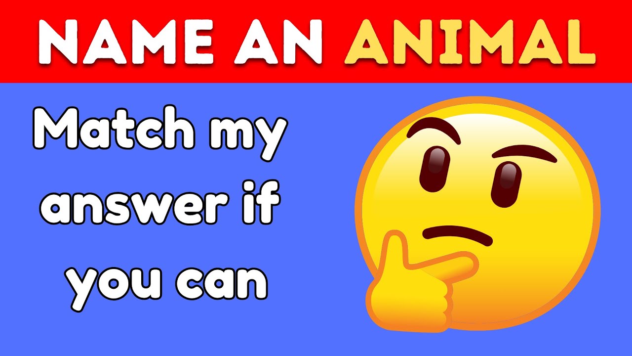 Match My Answer If You Can! 🤔 | Teddy Quiz Challenge - YouTube