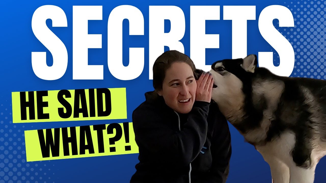 Teach your Dog to Tell Secrets! - YouTube
