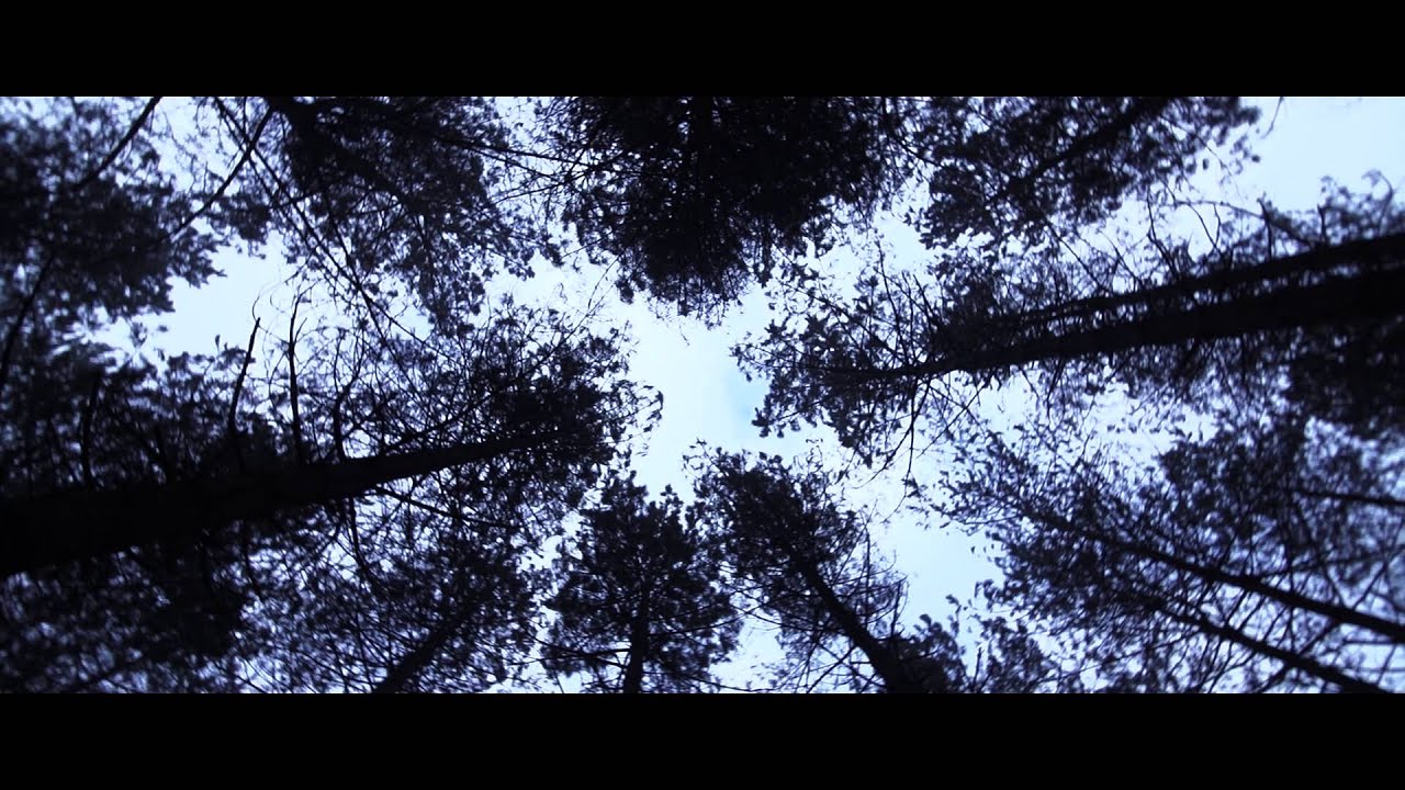 FVK - Regret (Official Trailer) - YouTube