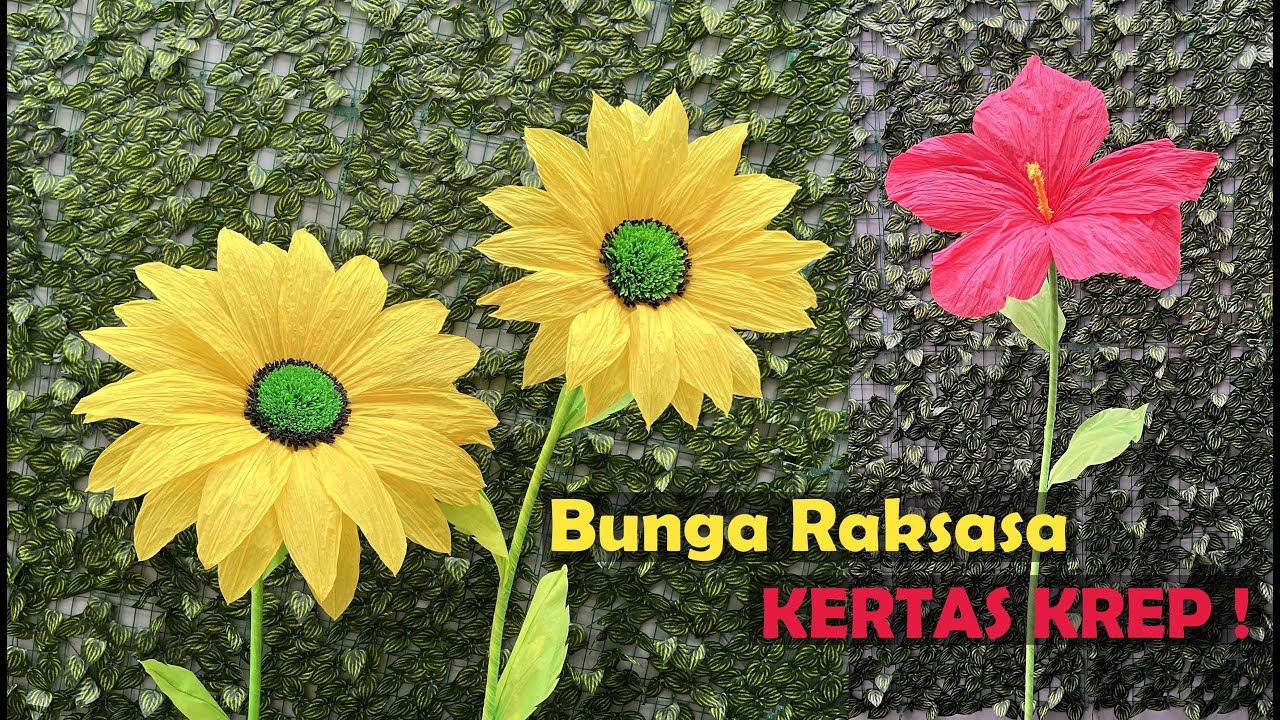 Membuat bunga jumbo / bunga raksasa dari kertas krep lokal ! | How to ...
