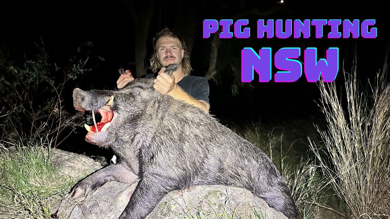 FullBoar Hunting Ep3 | Feral Pig Hunting in NSW - YouTube