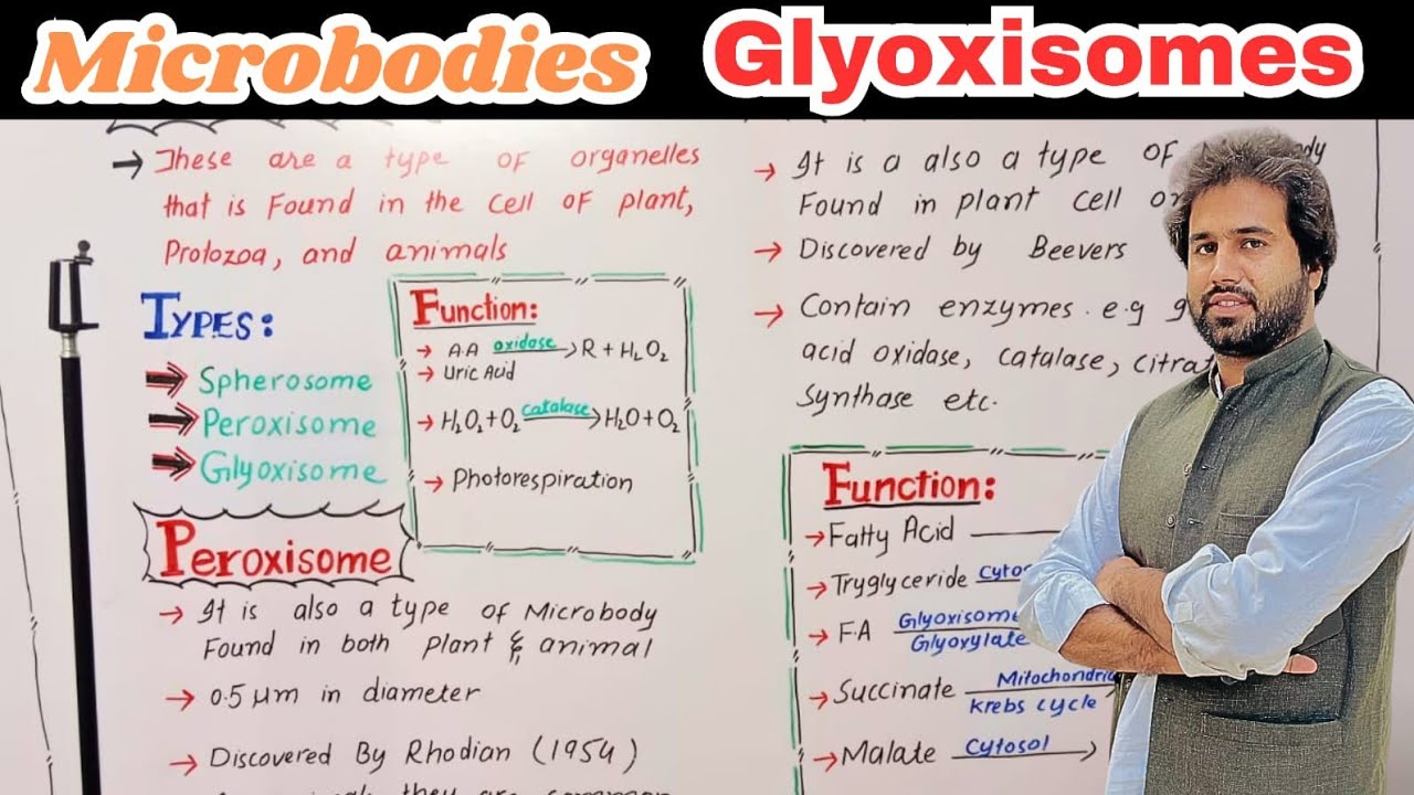 Chapter 4 # Cell | Peroxisomes & Glyoxisomes | 11th Class Biology ...