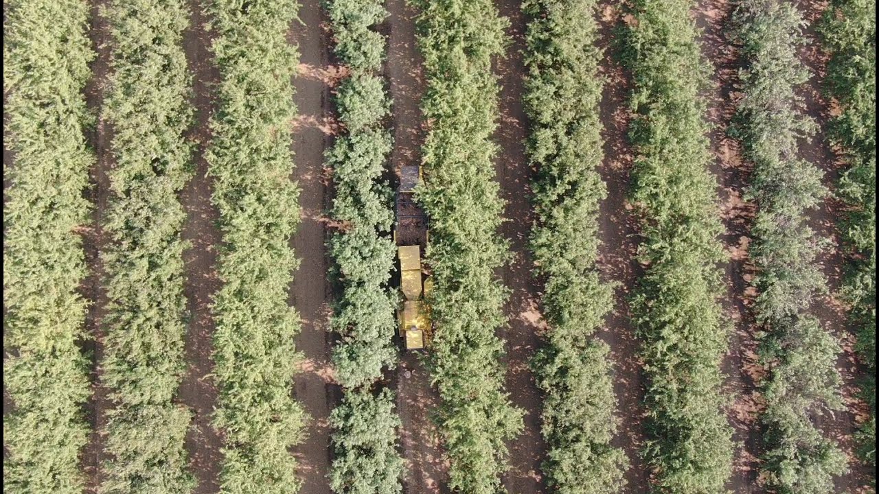 Exact Corp. The Original Low Dust Harvester - YouTube