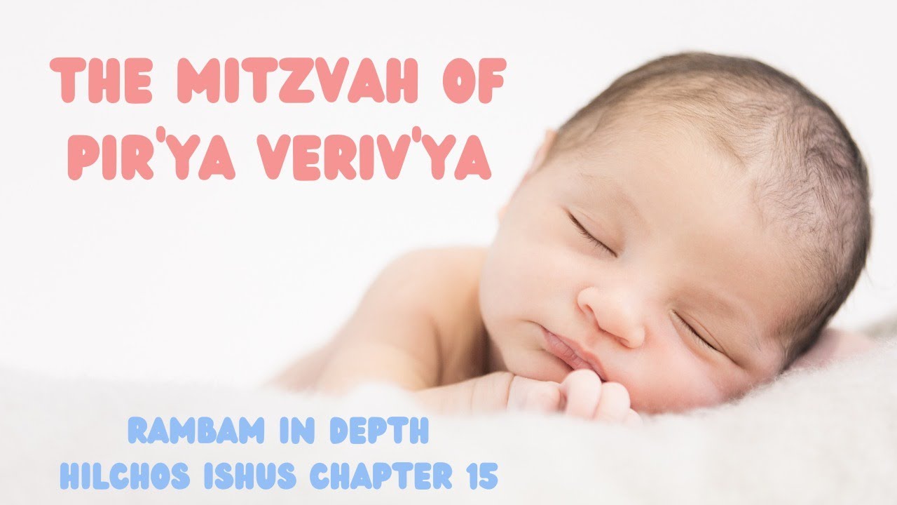 Rambam In Depth: The Mitzvah of Pirya Verivya - YouTube
