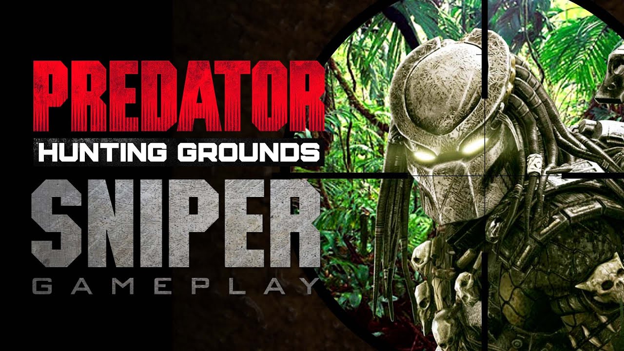 Predator Hunting Grounds | Sniper Gameplay | Helmet Break - YouTube