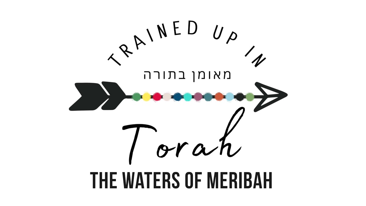 Numbers 20 The Waters of Meribah- Sabbath School Lesson - YouTube