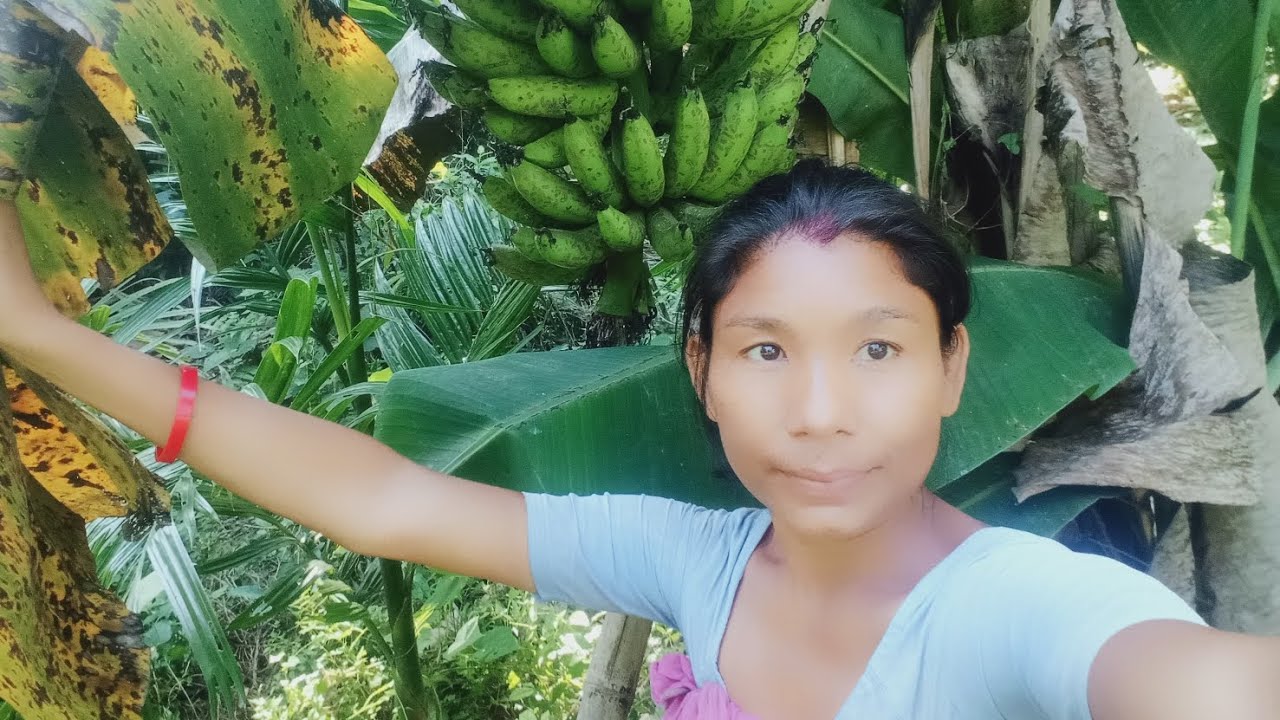 Betel nut Farming 🌴🌴 Local Betel - YouTube