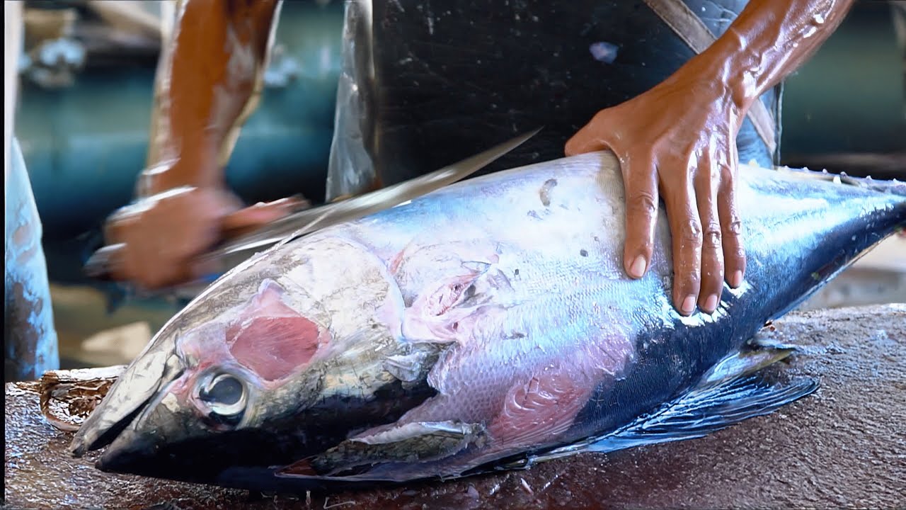 PERFECT FISH CUTTING || Master Fisherman Shares TopTUNA FISH CUTTING ...