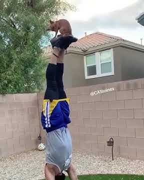 Smart poppy 🐕🤣🤣😅🤣😅😅😂😂 - YouTube