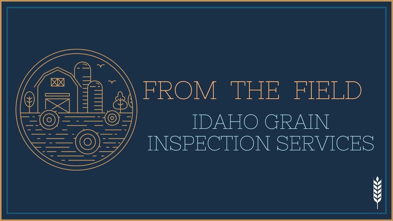 Idaho Grain Inspection Services - YouTube