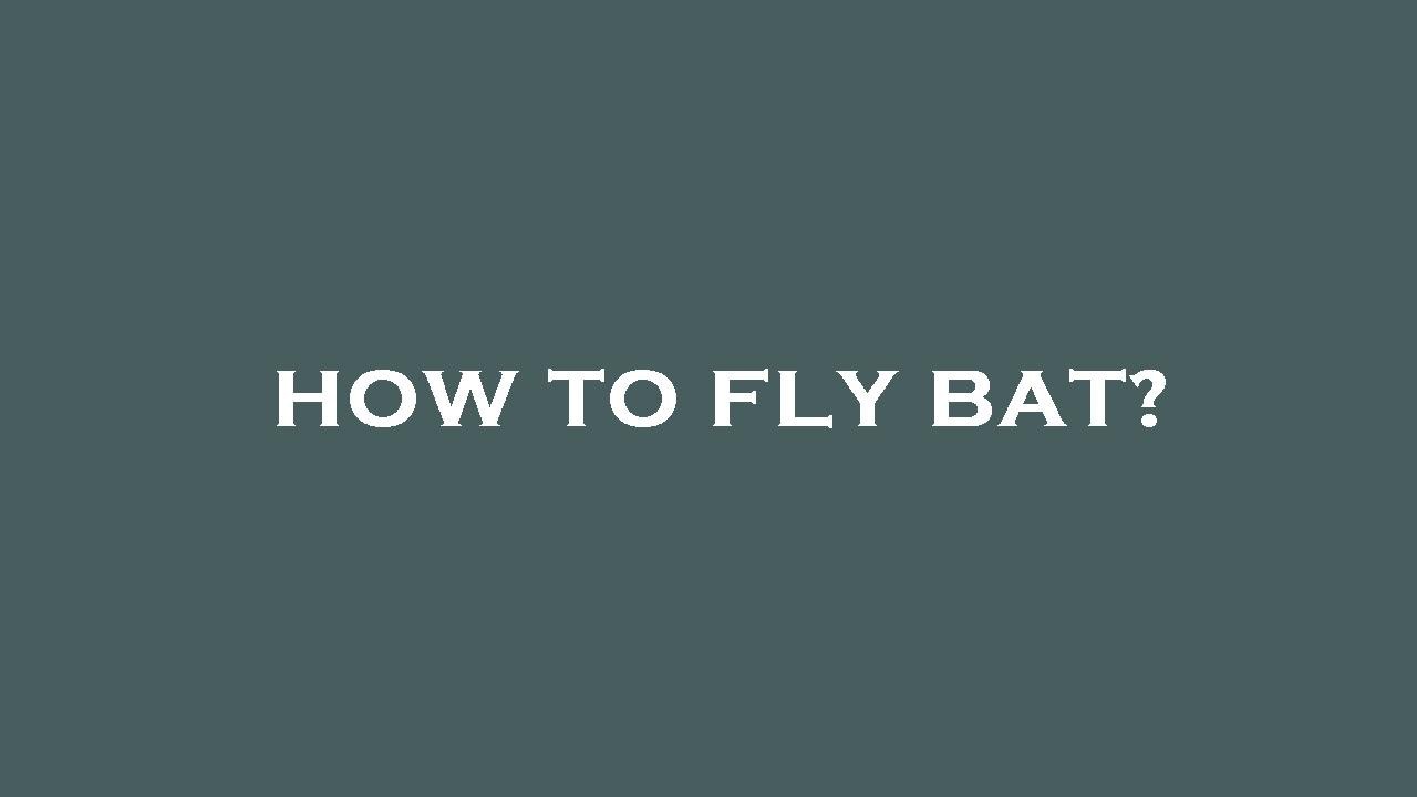 How to fly bat? - YouTube