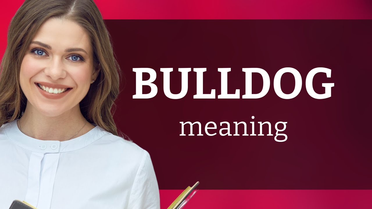 Bulldog — meaning of BULLDOG - YouTube
