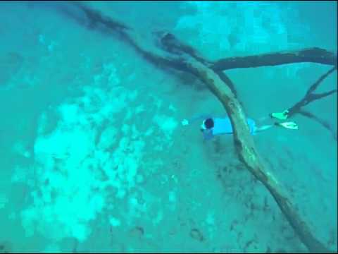 Terjadi di indonesia