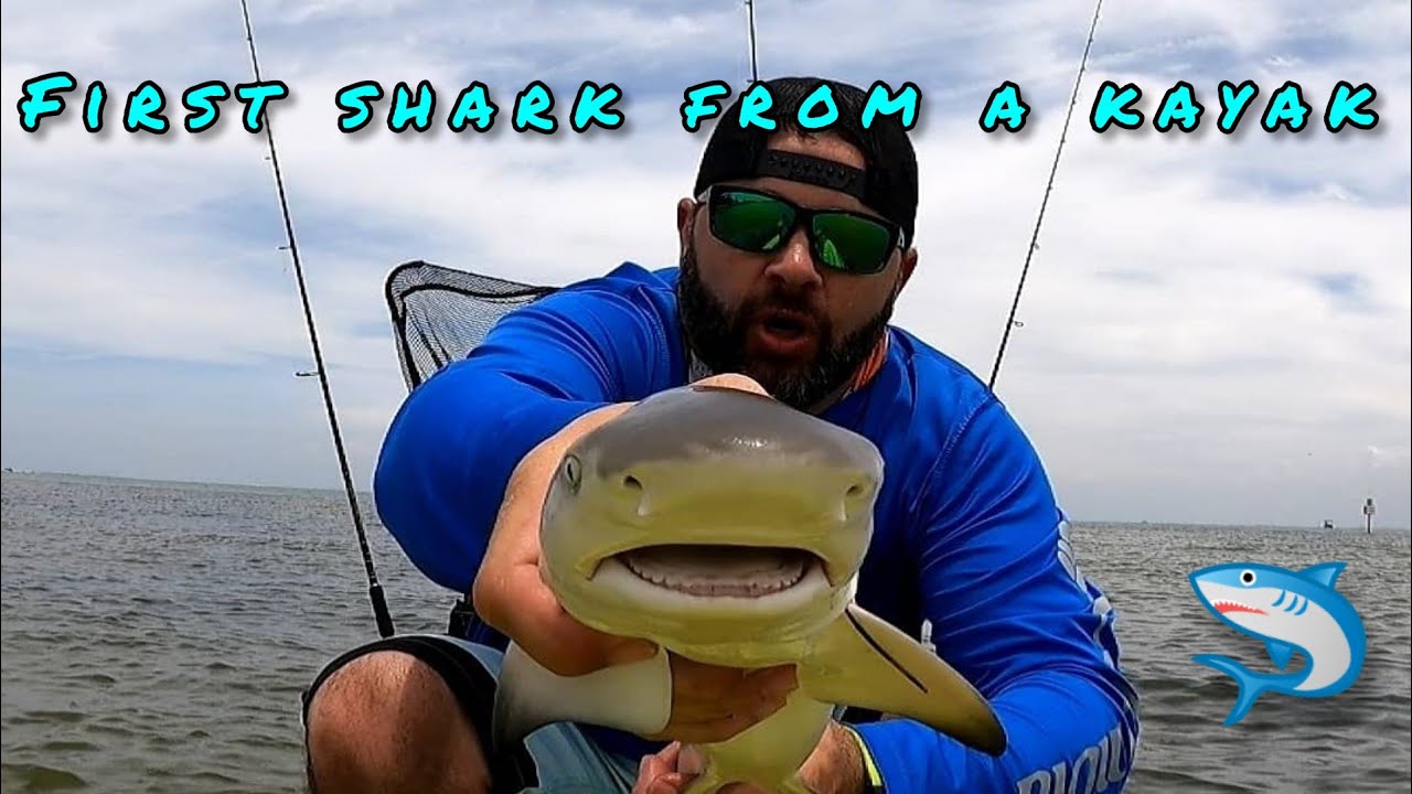 First shark from a kayak! - YouTube