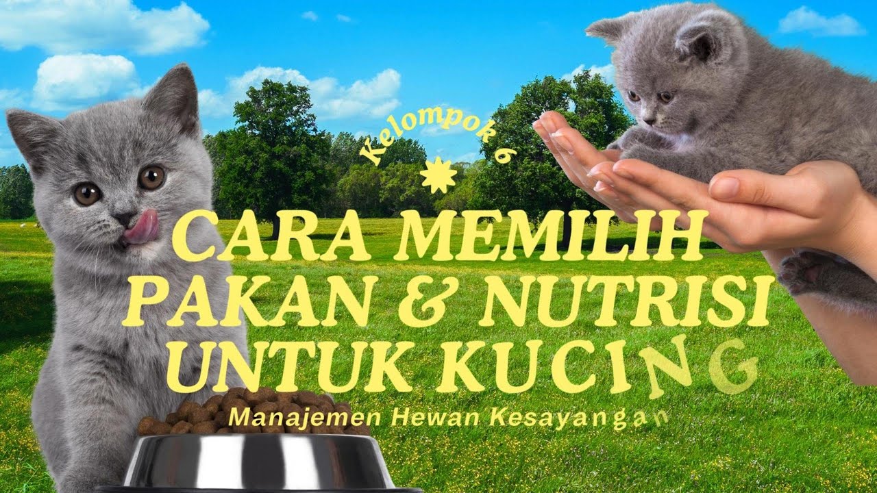 Kelompok 6_Cara Memilih Pakan dan Nutrisi Untuk Kucing_Manajemen Hewan ...