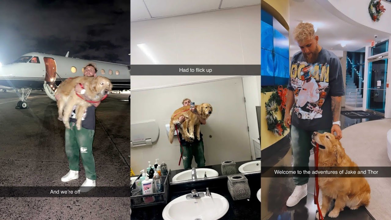 Welcome to the adventures of Jake and Thor - YouTube