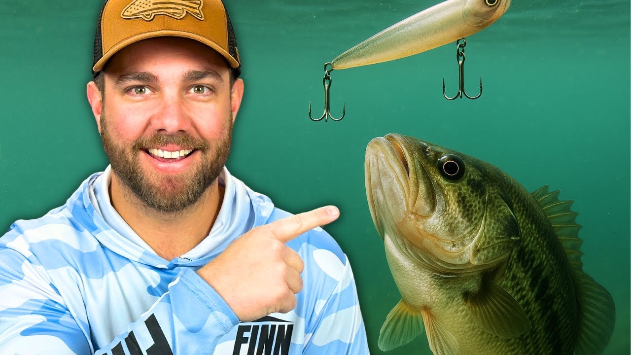 This One BASS Behavior Keeps Blowing My Mind - YouTube