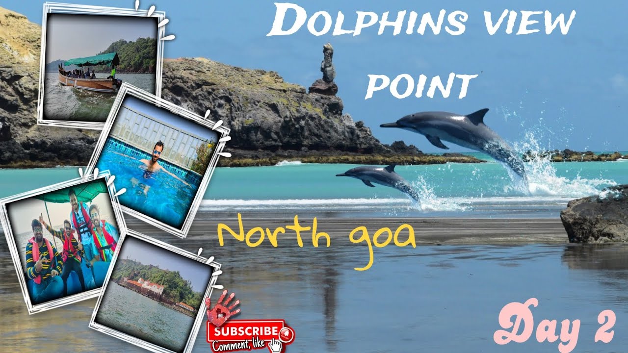 Dolphin ride in goa | goa dolphin trip | Home stay tour #dolphins #goa ...