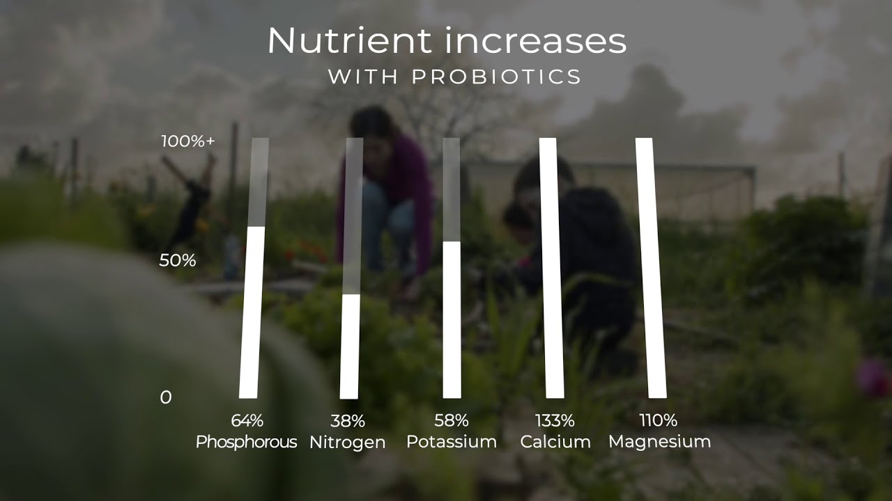 The future is nutrient dense food - Soil Balance Plant and Soil ...