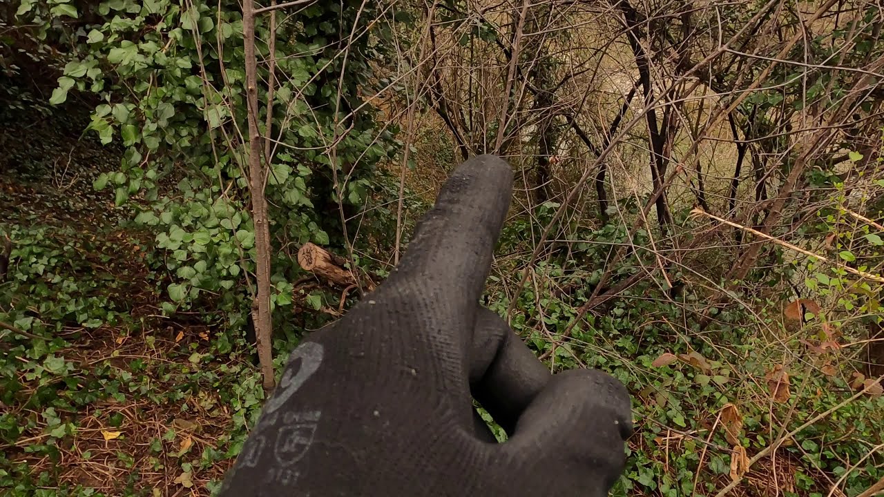 Filmaking - 660 - The MKSEARCH Witch Project & Dr. Green Files (12 ...