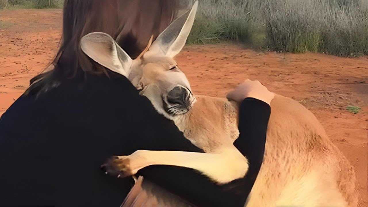 30 Times Humans Rescued Animals And Got Thanked In The Cutest Way ...