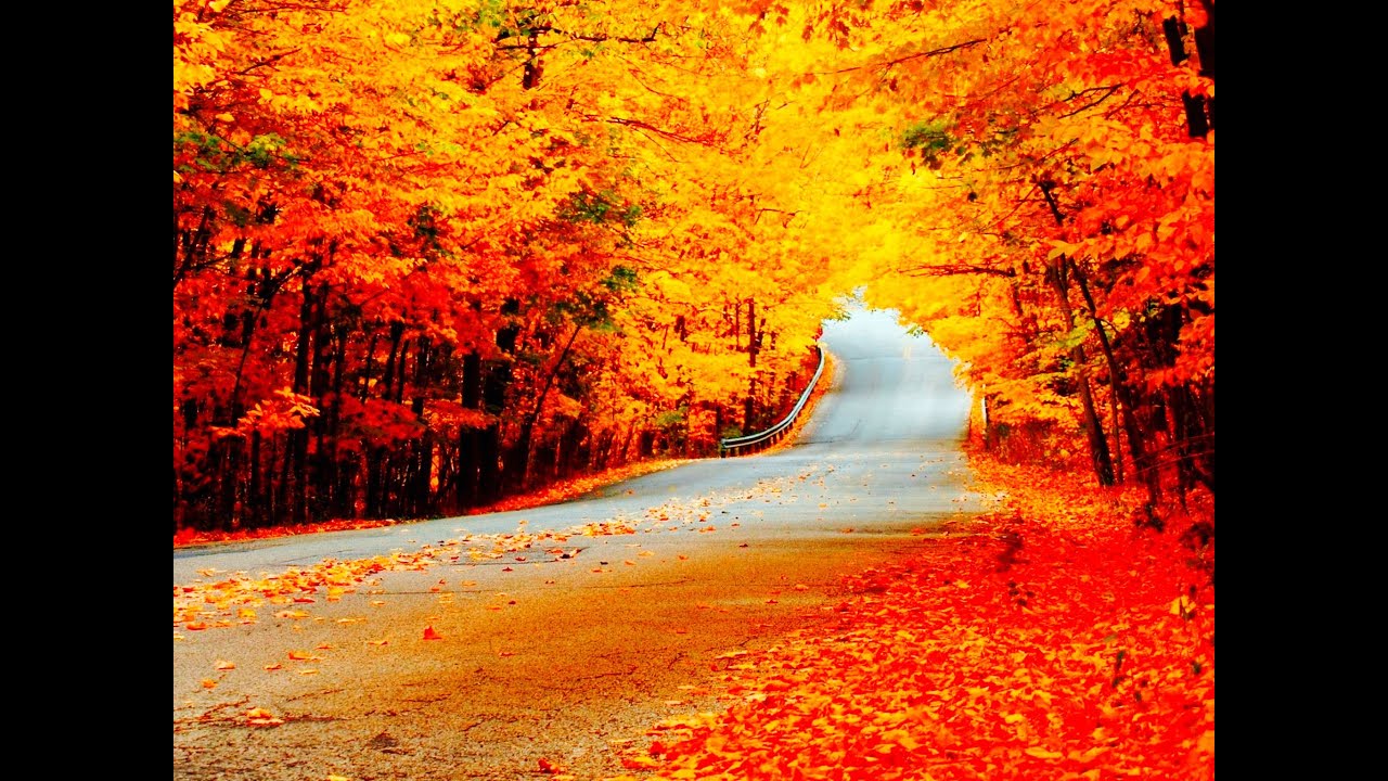 Let's Fall into Autumn! - YouTube