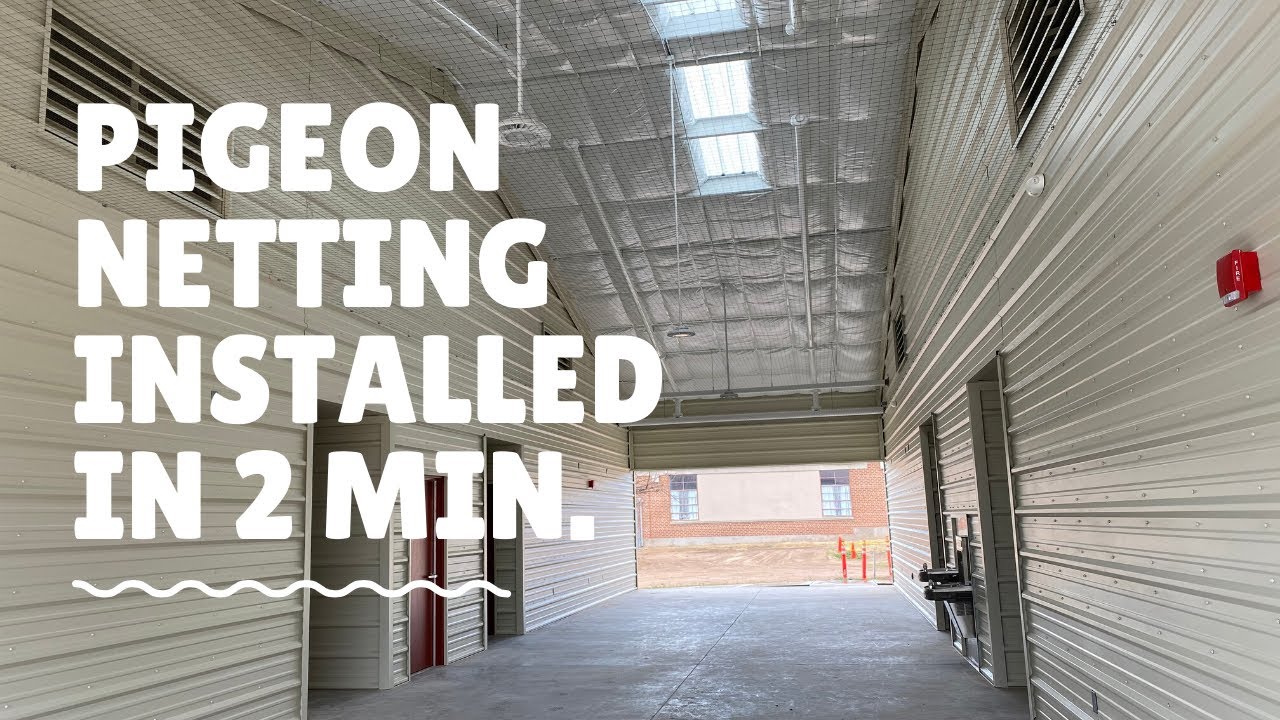 Pigeon Netting Installed in 2 Minutes - YouTube