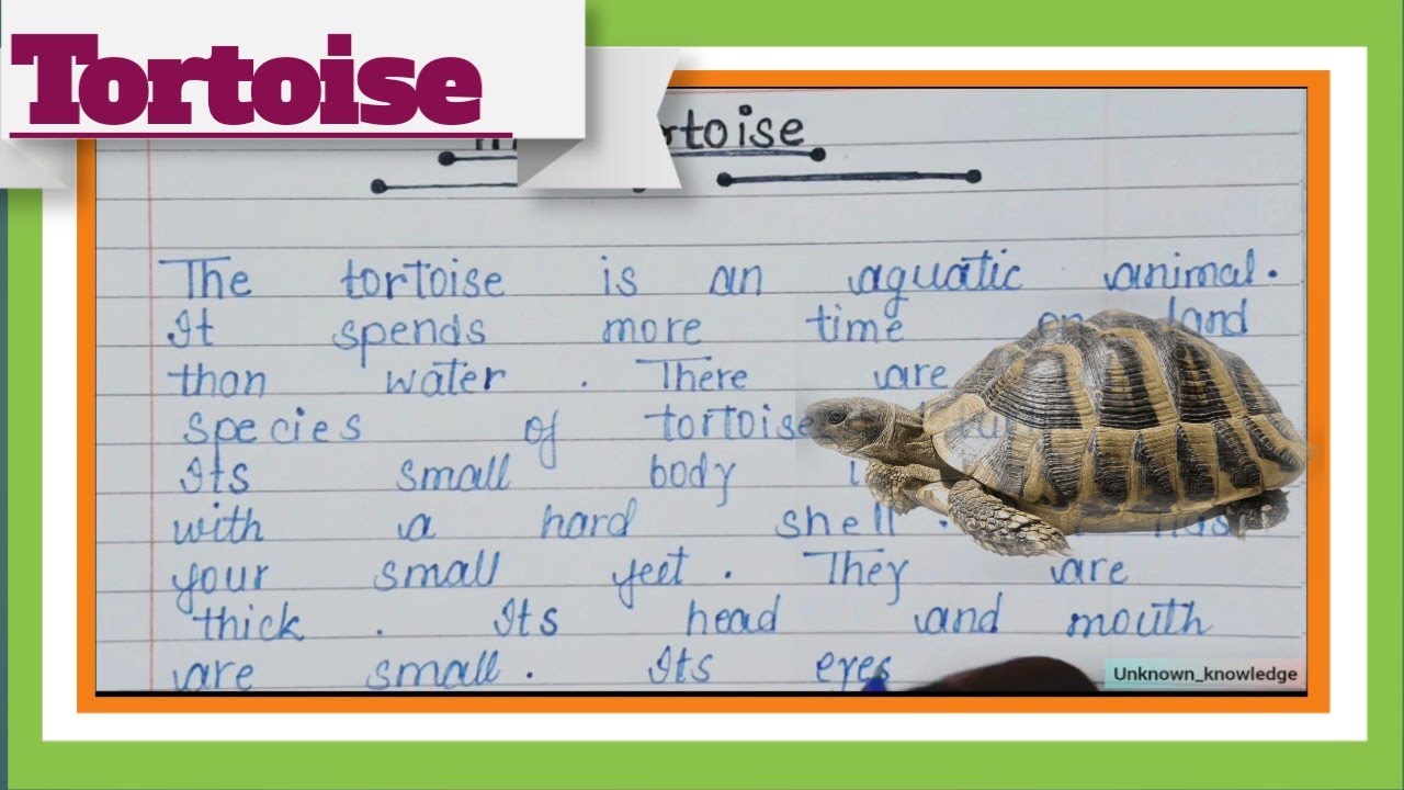 Paragraph on tortoise in English with 100 words | Short notes of ...