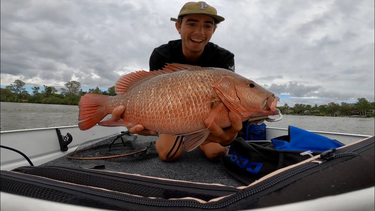Brisbane river Jack fishing - YouTube