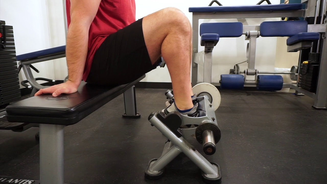 Seated Tibialis Raise - YouTube