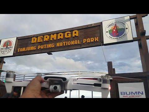 Keindahan Sekitar Dermaga Tanjung Puting National Park