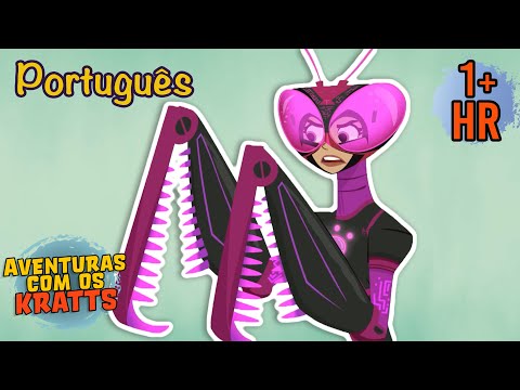 Aviva, o louva-a-deus gigante [episódios completos] Aventuras com os Kratts