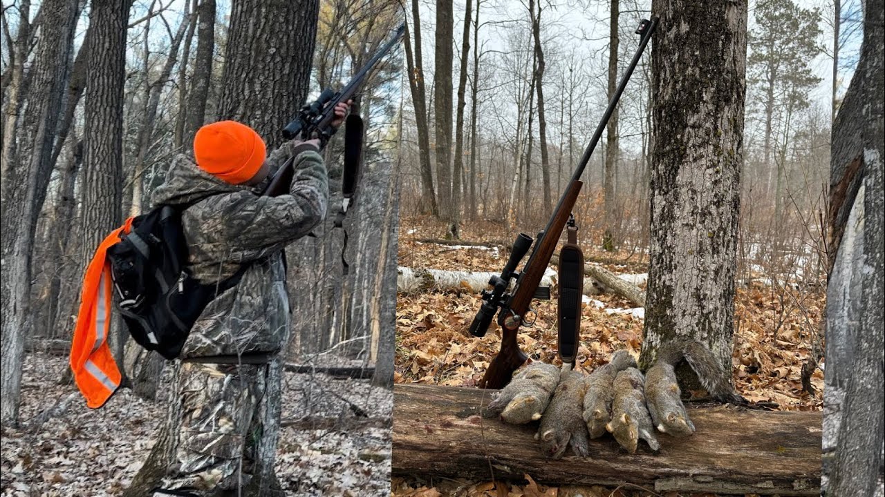 Northern Gray Squirrel hunting with@LULOutdoor1949 . - YouTube