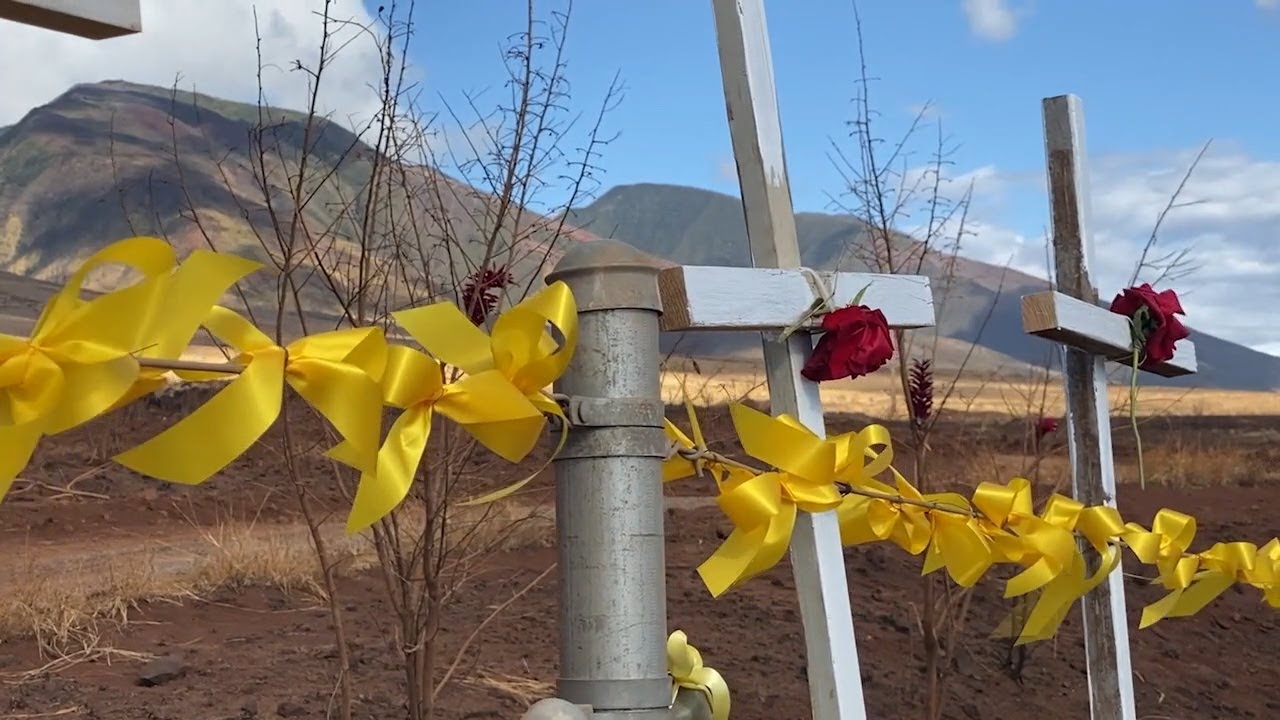 A moving tribute on the Lahaina Bypass fence honors the departed and ...