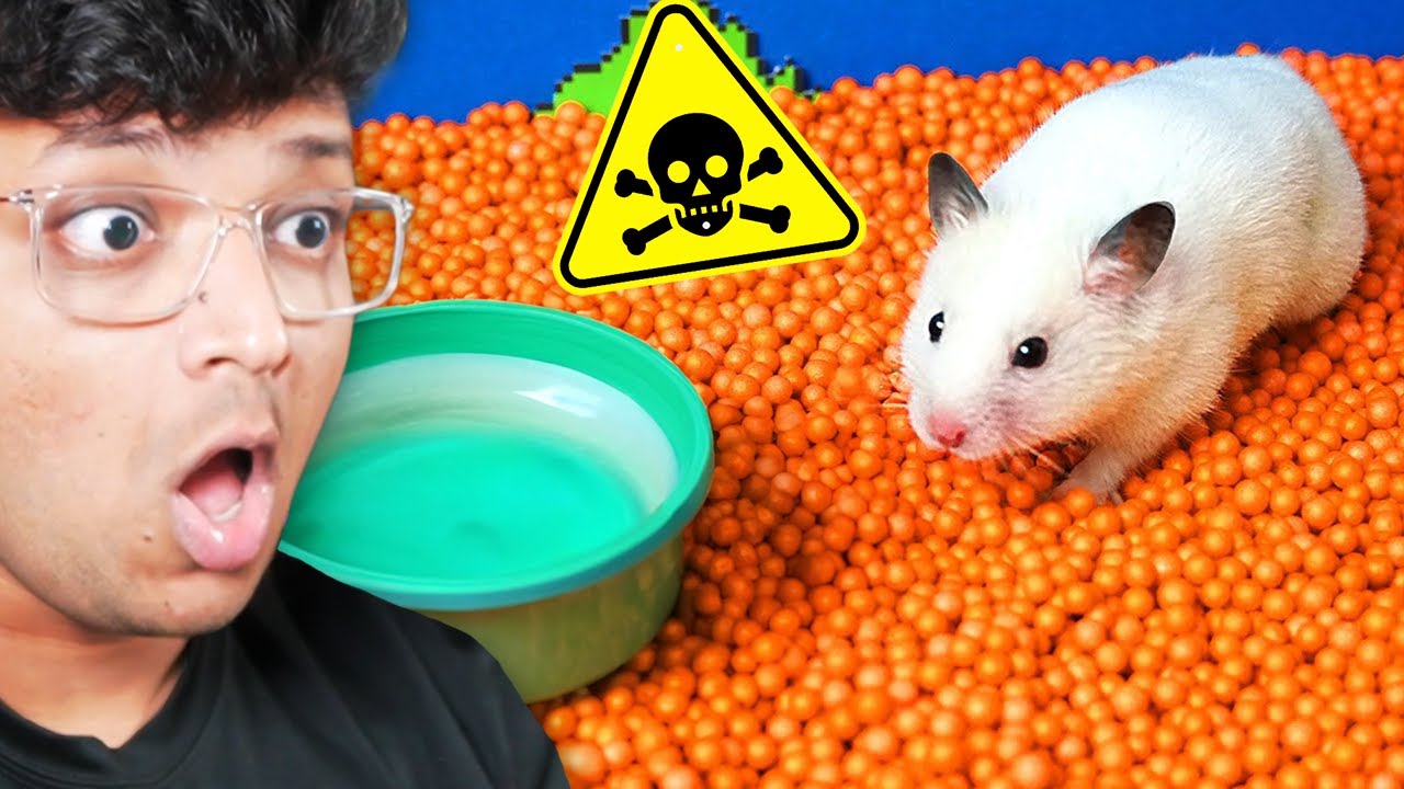 MOST DANGEROUS RAT In The World! 🐀 (Rat Simulator) - YouTube