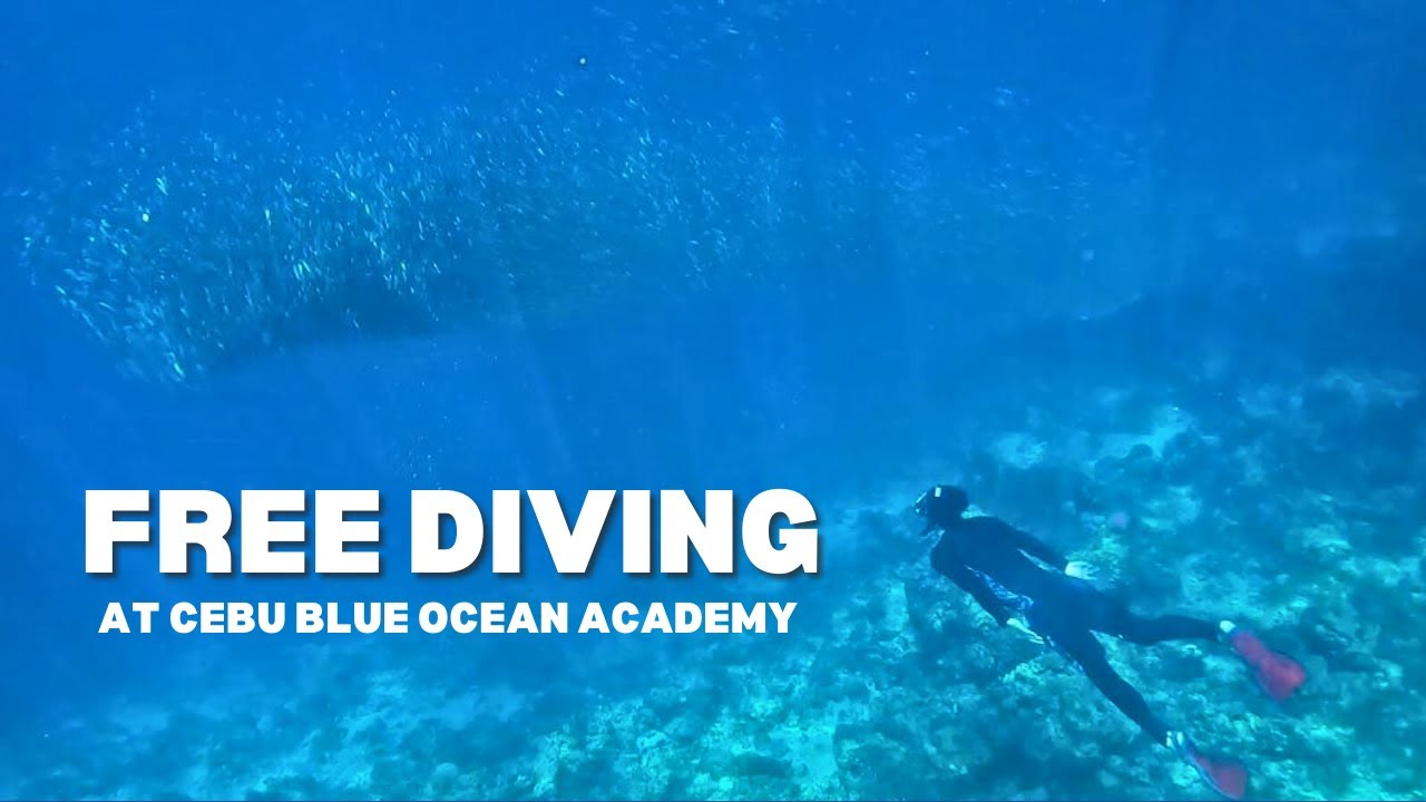 Free Diving at Cebu Blue Ocean Sea Front - YouTube
