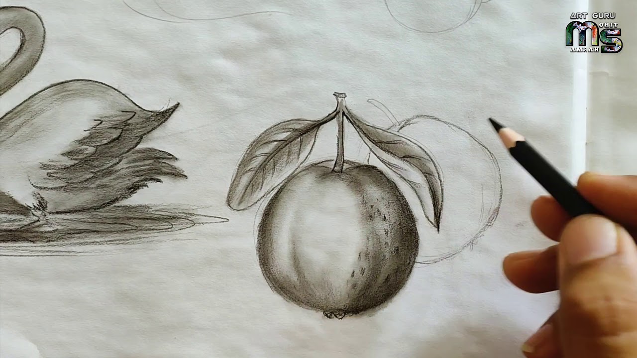 how to draw guava very easy for beginners/ by mohit sharma - YouTube