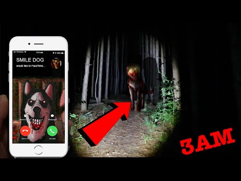 FACETIMING SMILE DOG AT 3 AM GONE WRONG!! *HE ANSWERED*