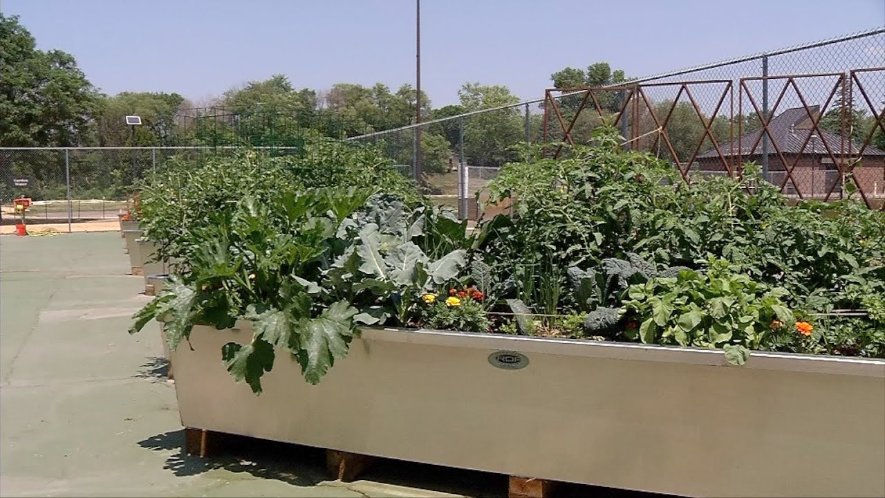 Golden Valley To Hold Lottery for Second Summer of Medley Park ...
